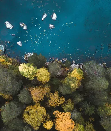 Bitmap Photography Multi